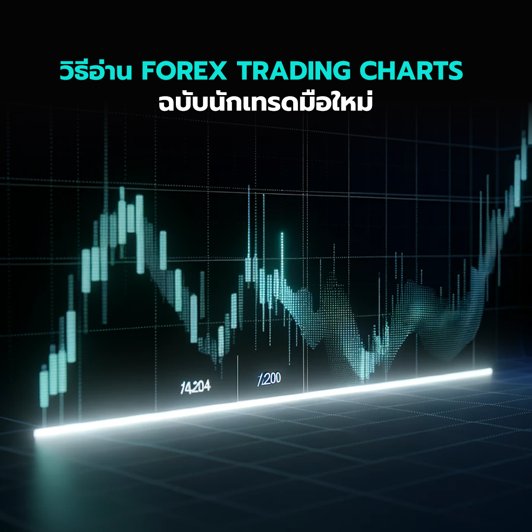 วิธีอ่าน Forex trading charts ฉบับนักเทรดมือใหม่